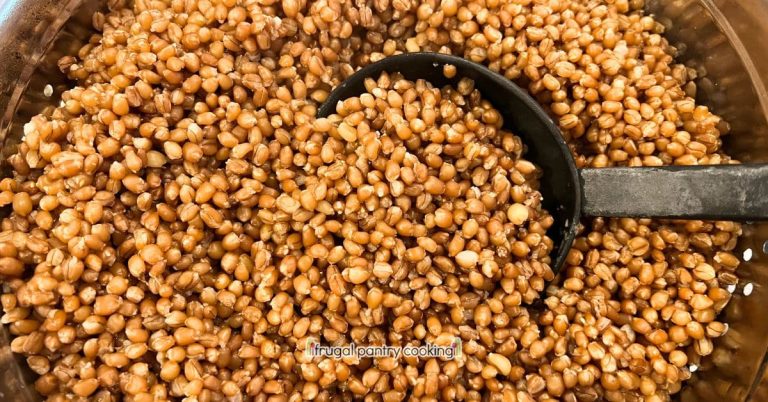 How to Cook Wheat Berries